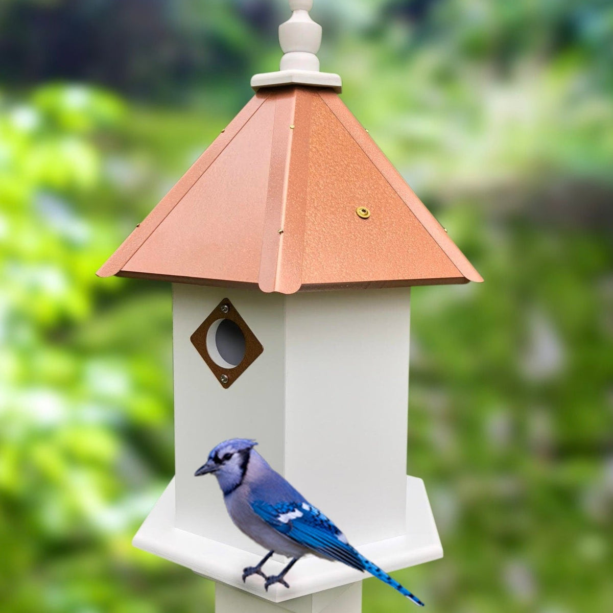 Bird House - 2 Nesting Compartments - Handmade - Metal Predator Guards ...